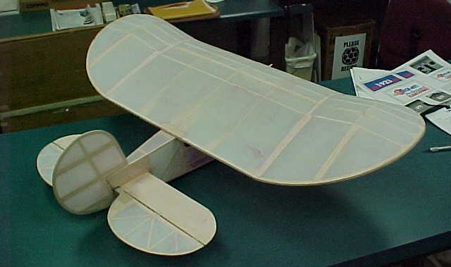 Lazy Bee Model Airplane